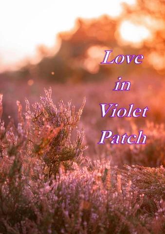 Love in Violet Patch