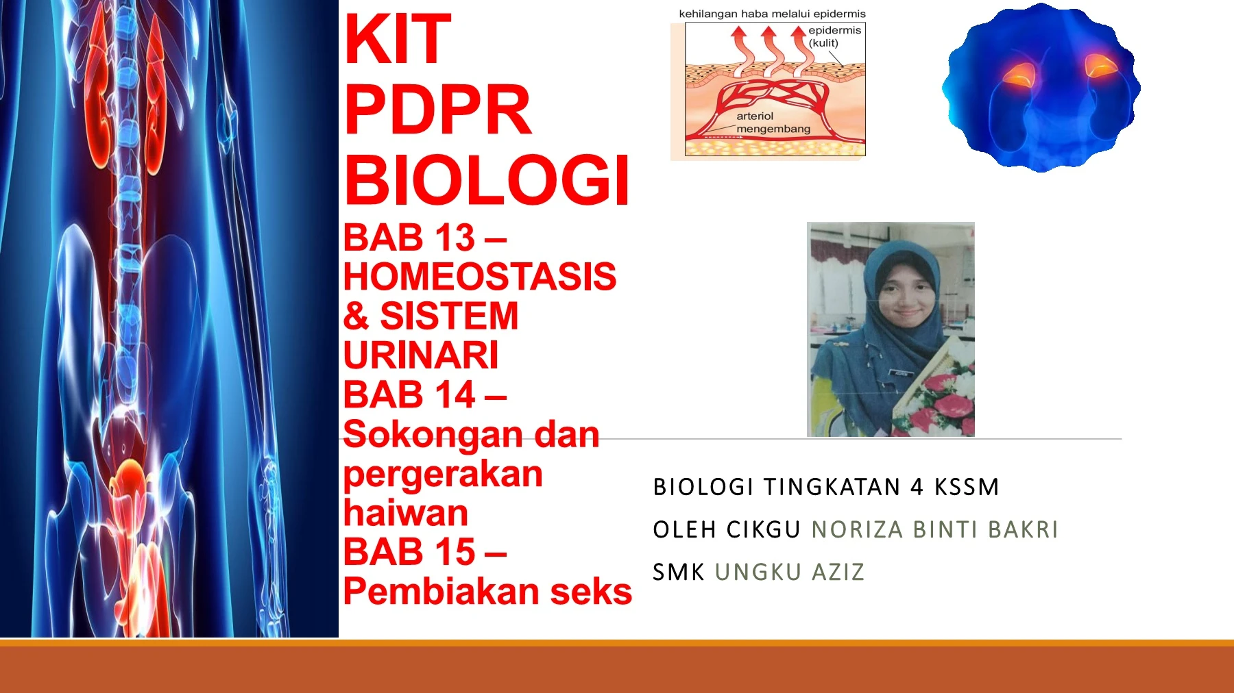 KIT PDPR BIO T4 BAB 13