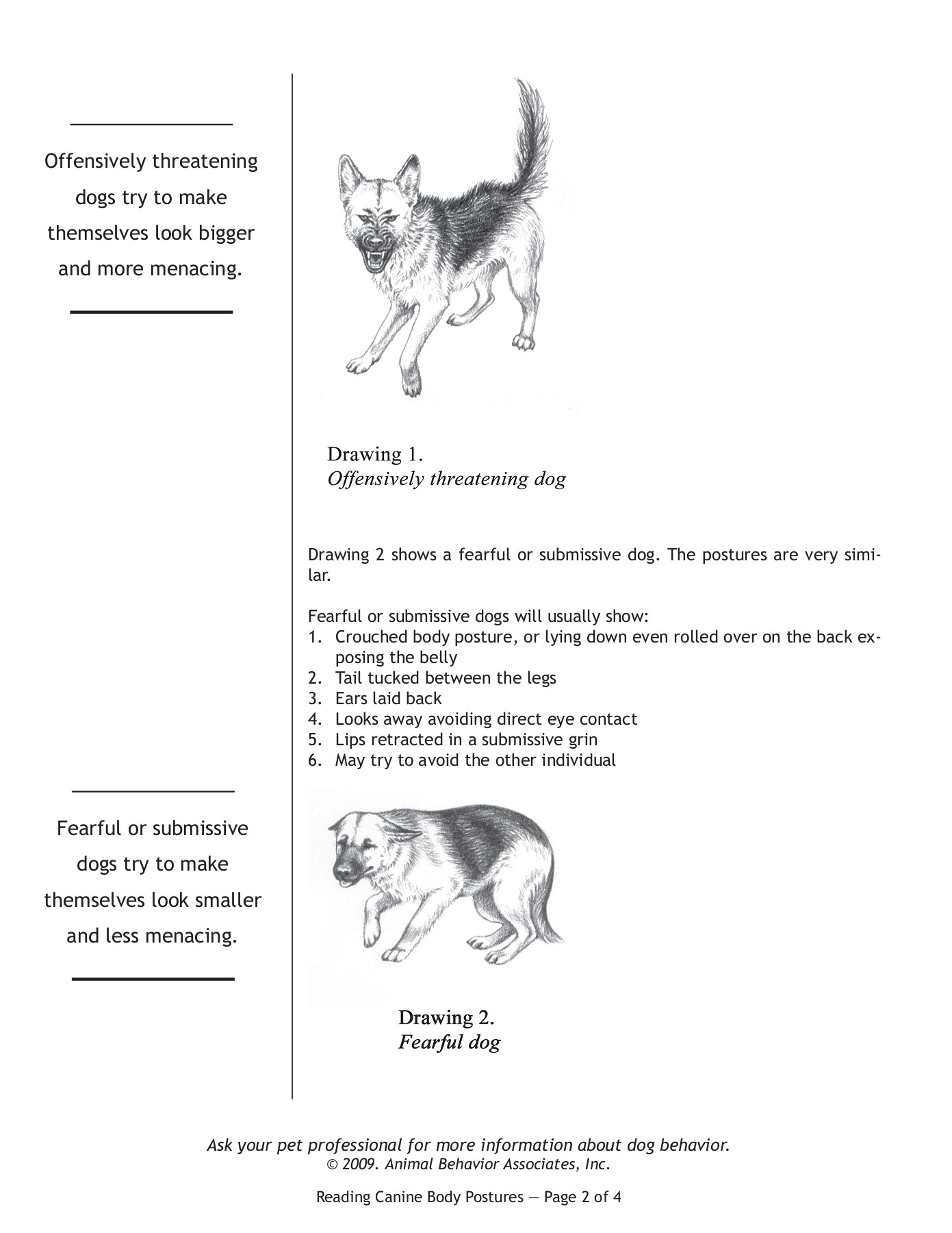 Dog Body Posture Diagram Wagging Or Warning? Understanding Dog To Dog
