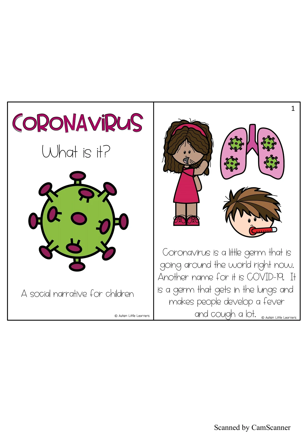 Coronavirus What Is It