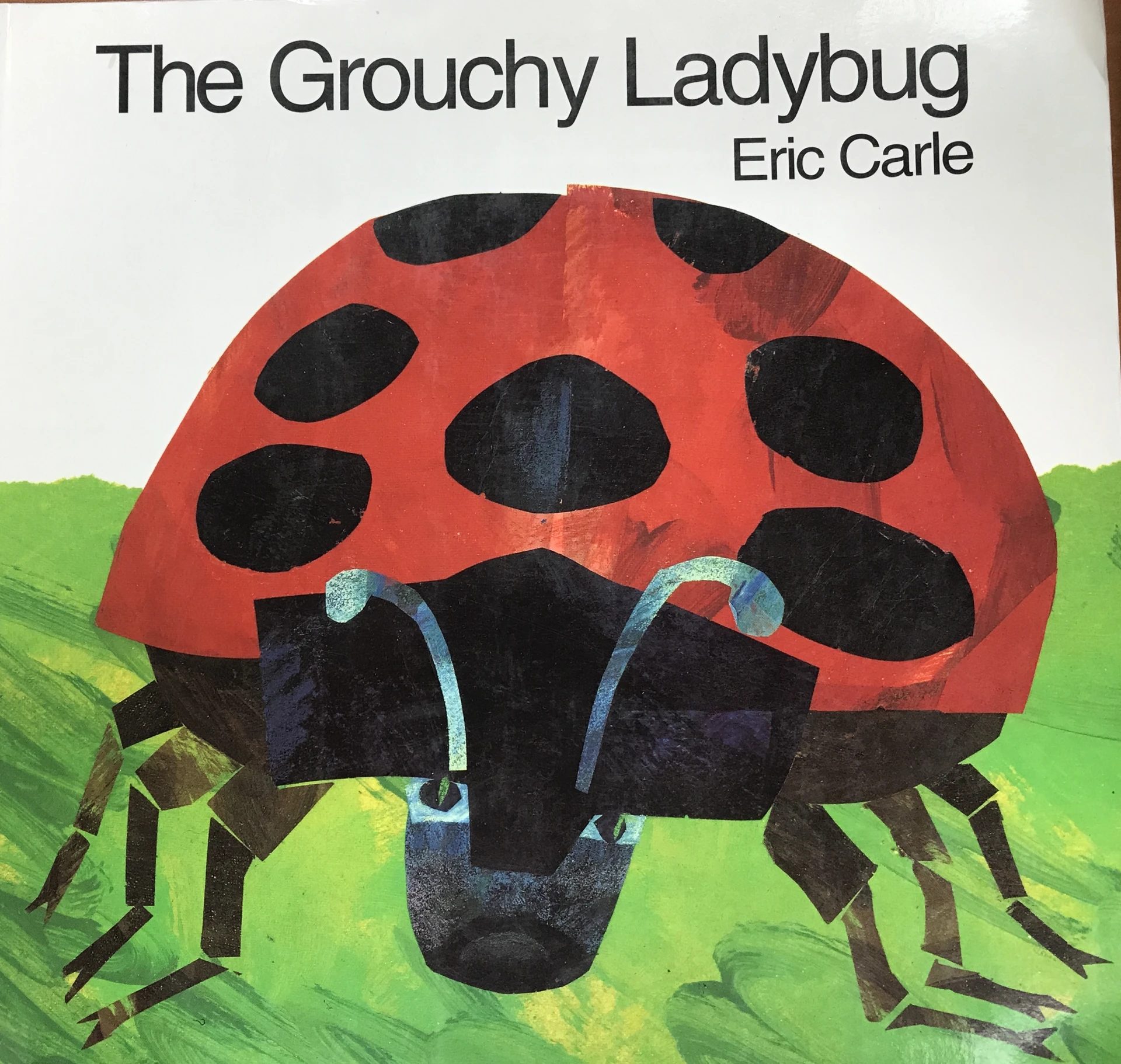 The Grouchy Ladybug