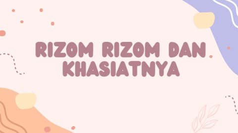 RIZOM-RIZOM BERKHASIAT
