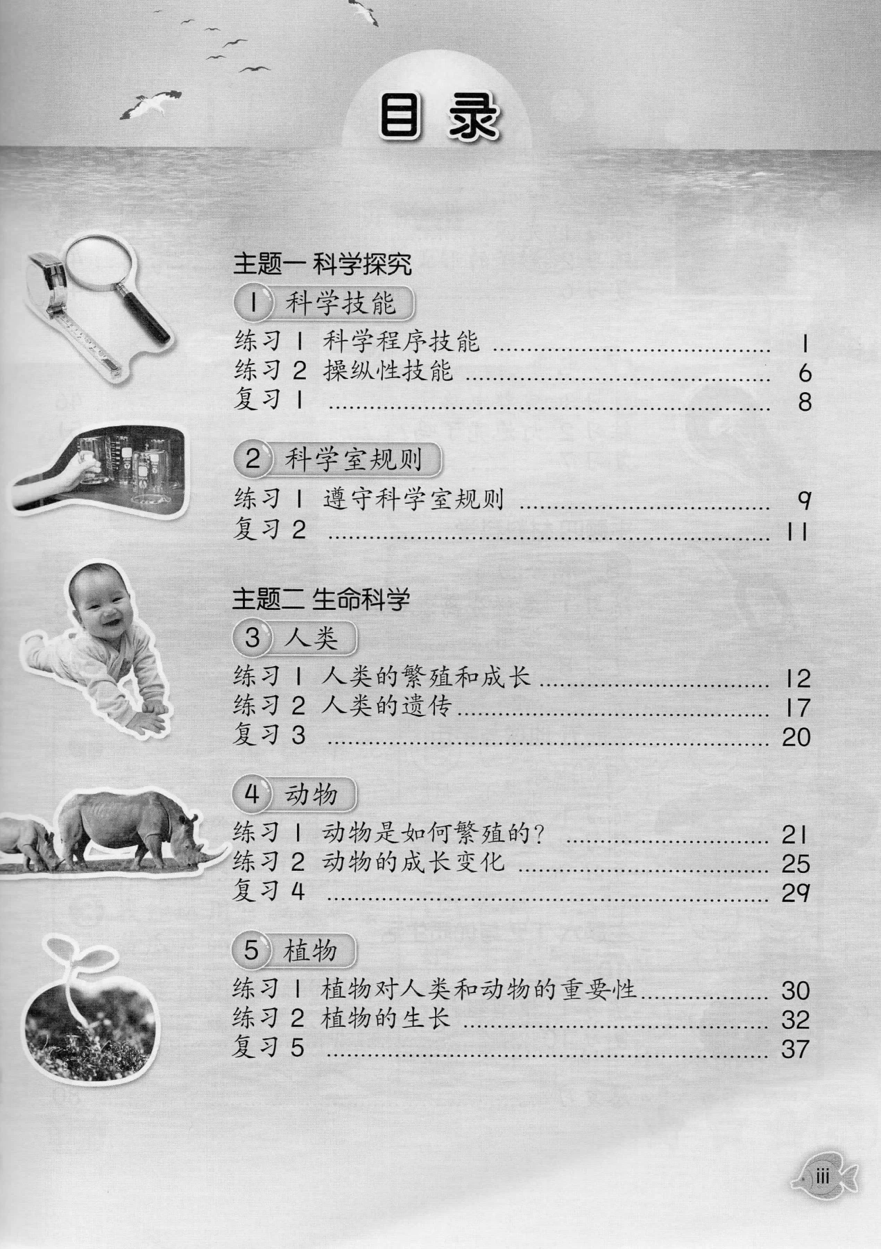 二年级 科学活动本