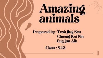 Amazing animals - m-7823899 Flip PDF | AnyFlip