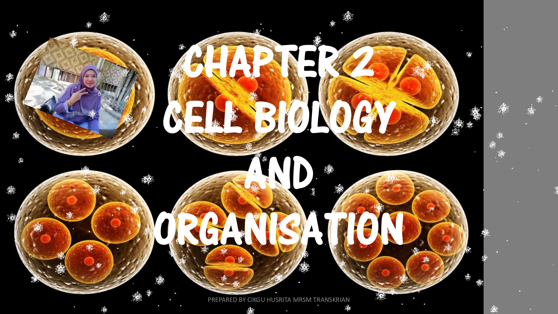 Chapter 2 Cell Structure And Cell Organisation Anjung Chapter 2 : Cell