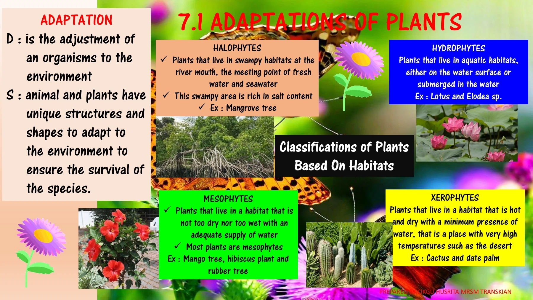 Adaptation Of Plants To Aquatic Habitat