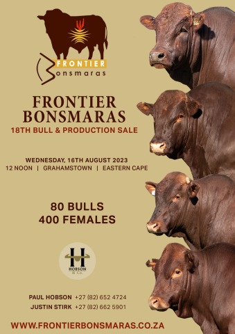 Frontier Bonsmara Catalogue - Sunell Lockwood Flip PDF | AnyFlip