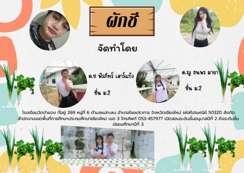 ผักชี