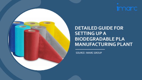 Keys to Running a Profitable Biodegradable PLA Manufacturing Plant ...