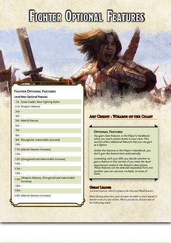 Fighter Optional Features - goroiamanuci Flip PDF | AnyFlip