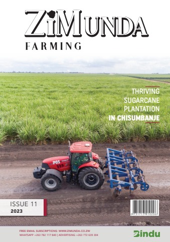 Zimunda Issue 11 - BINDU MEDIA Flip PDF | AnyFlip