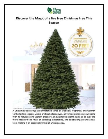 Discover the Magic of a live tree Christmas tree This Season