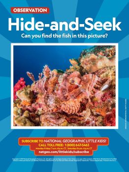 NATIONAL GEOGRAPIC HIDE AND SEEK