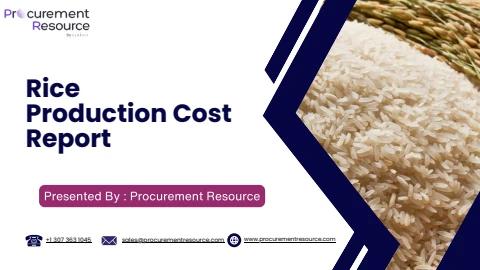 Rice Production Cost
