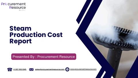 Steam Production Cost