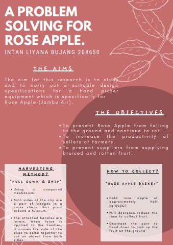 A problem solving for rose apple.
