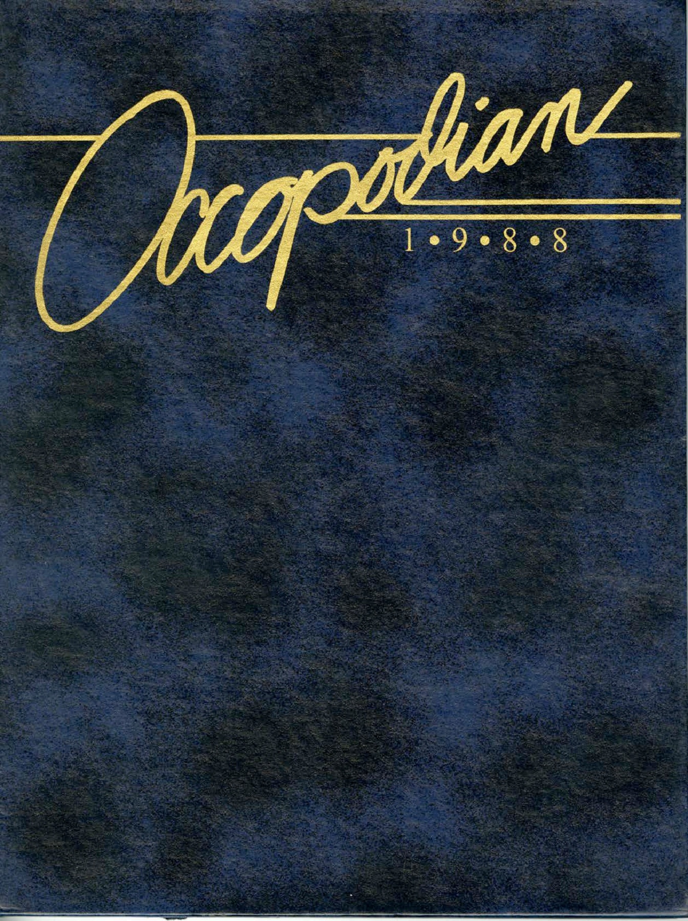 Joseph Ripepi's Instagram, Facebook & TikTok on IDCrawl