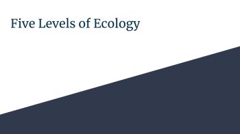 Five Levels of Ecology - Guset User Flip PDF | AnyFlip