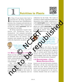 Science textbook full - tonicsaber Flip PDF | AnyFlip