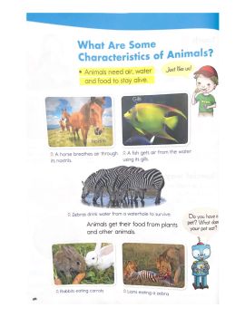 Chapter 4 Animals - huiqin529 Flip PDF | AnyFlip