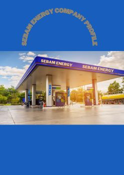 SEBAM ENERGY COMPANY PROFILE_clone - chikozhogracious Flip PDF | AnyFlip
