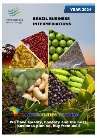 Magazine commodity intermediation in Brazil - contato.trading Flip PDF ...