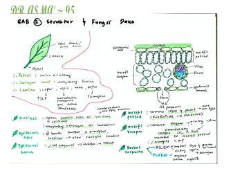 BIO F5 KSSM BAB 2 - Cg Sharifah Roqaiyah Flip PDF | AnyFlip