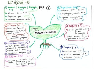 BIO F5 KSSM BAB 3 - Cg Sharifah Roqaiyah Flip PDF | AnyFlip