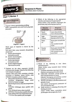 LATIHAN F5 BAB 5 KSSM - Cg Sharifah Roqaiyah Flip PDF | AnyFlip