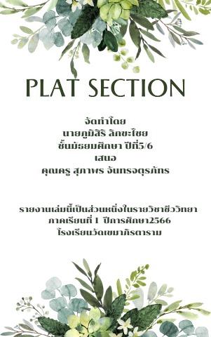 Plat section