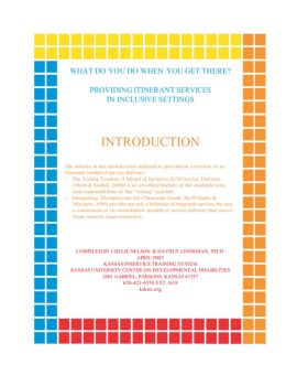 WHAT DO YOU DO WHEN YOU GET THERE? PROVIDING ITINERANT ... - Guset User ...