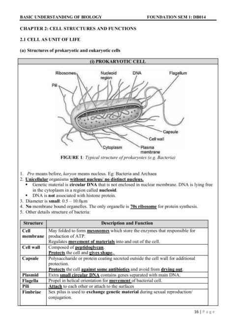 Basic Cell Structure And Function In Cell Dna