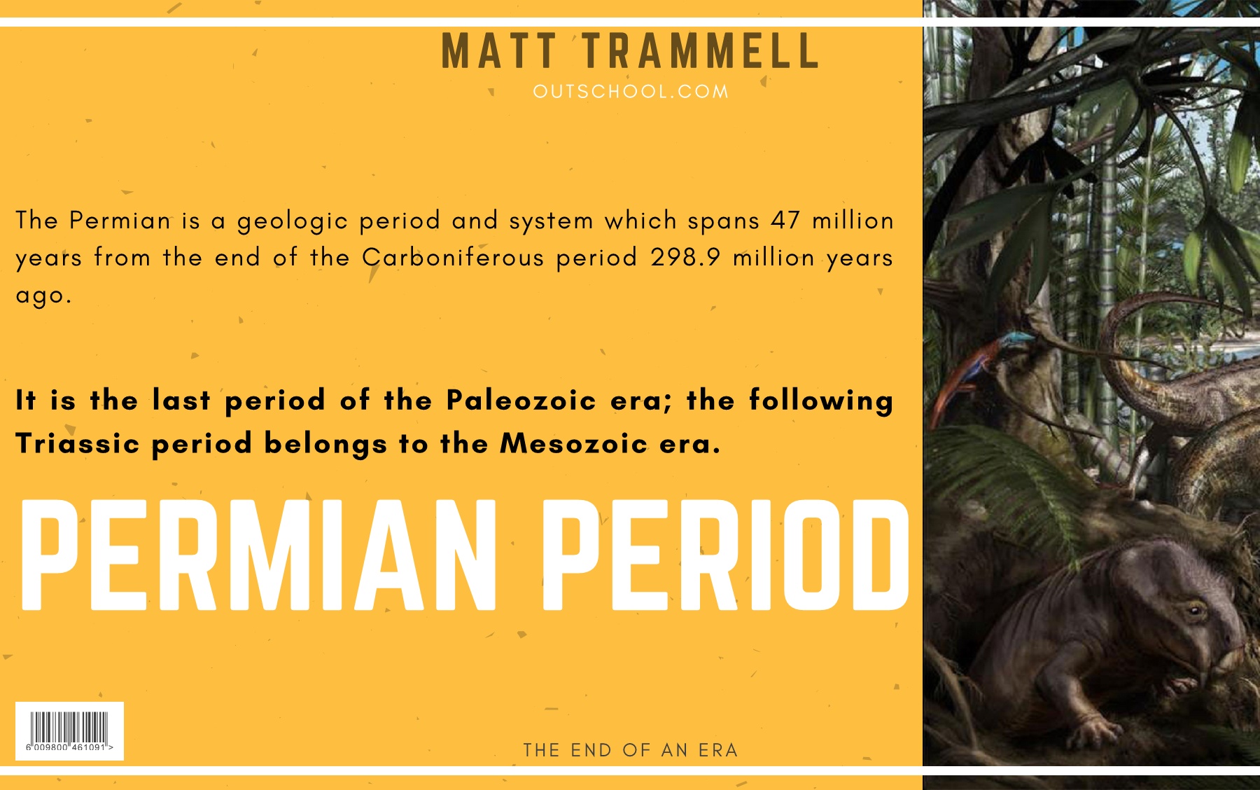 Permian Period Plants