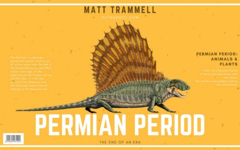Permian Animals And Plants