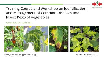 Module 2C_Common Virus Diseases of Vegetables - laoongdao.soong-nern ...