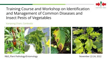 Module 2B_Common Fungal_Oomycete Diseases of Vegetables - laoongdao ...