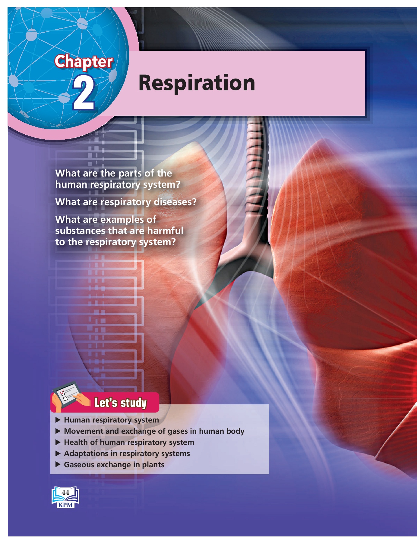 Grasshopper Respiratory System Summary