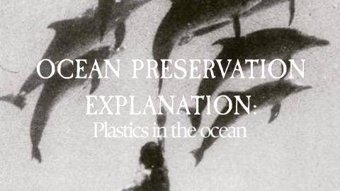 Ocean preservation explaination