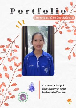Portfolio - chanakarn.palipol Flip PDF | AnyFlip