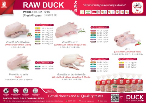 BR Catalog: Duck Parts