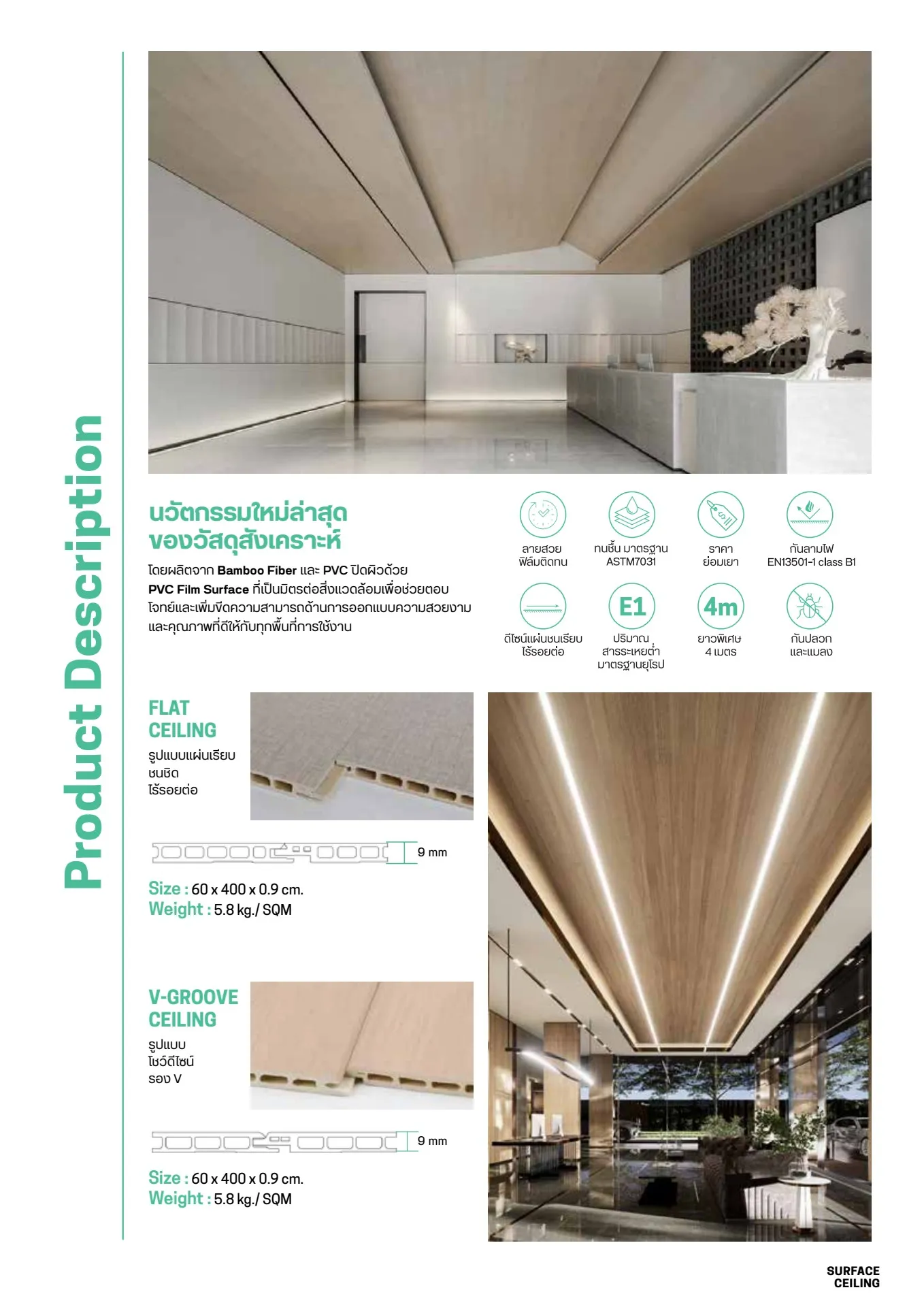 Brochure Surface Ceiling