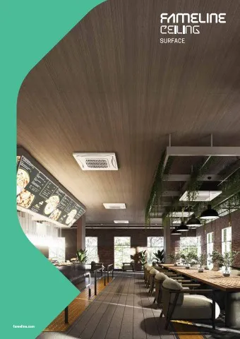 Brochure Surface Ceiling