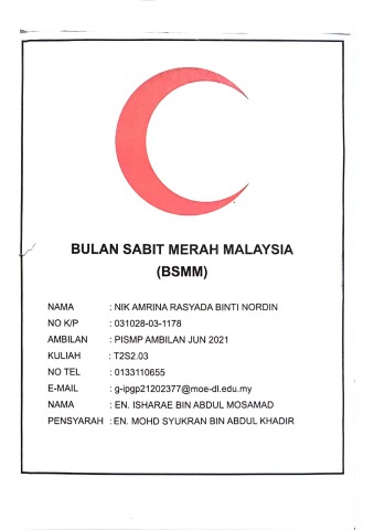 Nik Amrina Rasyada binti Nordiin - NIK AMRINA RASYADA BINTI NORDIN IPG ...