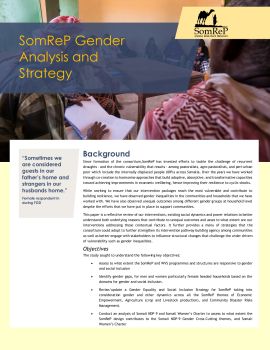 SomReP Gender Strategy Summary - somrep Flip PDF | AnyFlip