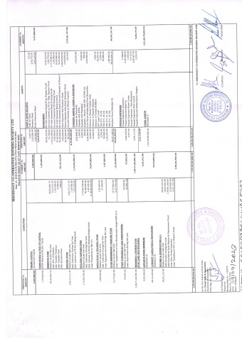 12TH ANNUAL GENERAL BODY MEETING AGENDA, AUIDIT REPORT & BALANCE SHEET ...