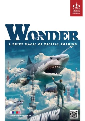 Wonder: A Magic of Digital Imaging