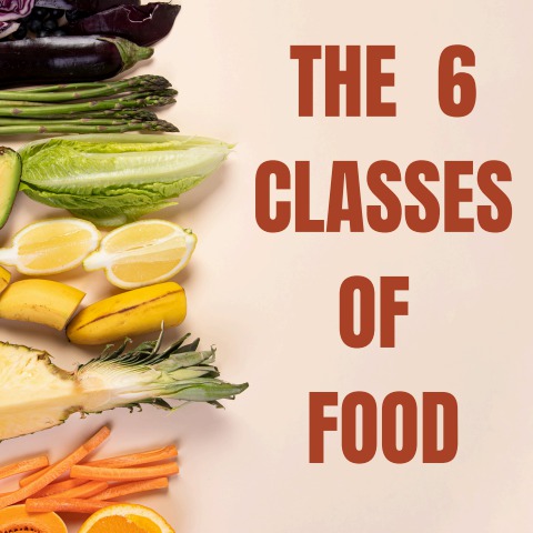 the 6 classes of food - Mary chidiebere Flip PDF | AnyFlip