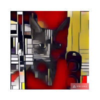 Planescape Campaign Setting - akiazoth Flip PDF | AnyFlip