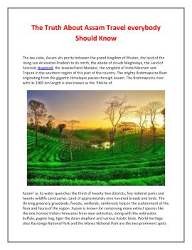 Travel Guide to Assam - Everything You Need to Know | Liamtra ...