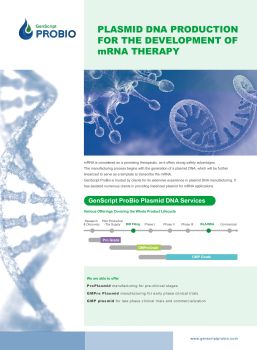 GenScript ProBio Plasmid Manufacturing - genscript.seo Flip PDF | AnyFlip